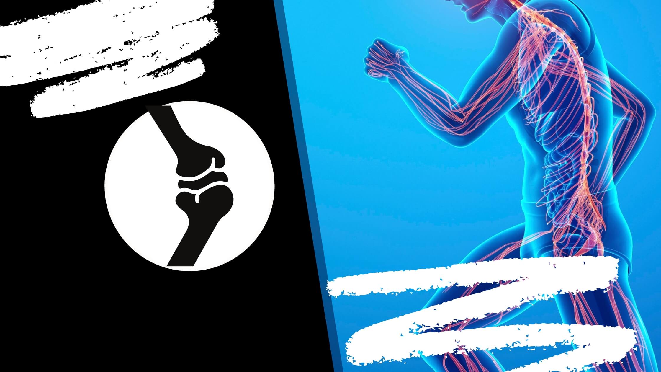 NeuraMagnesium with L-Theanine and B6 – AlphaCell Labs